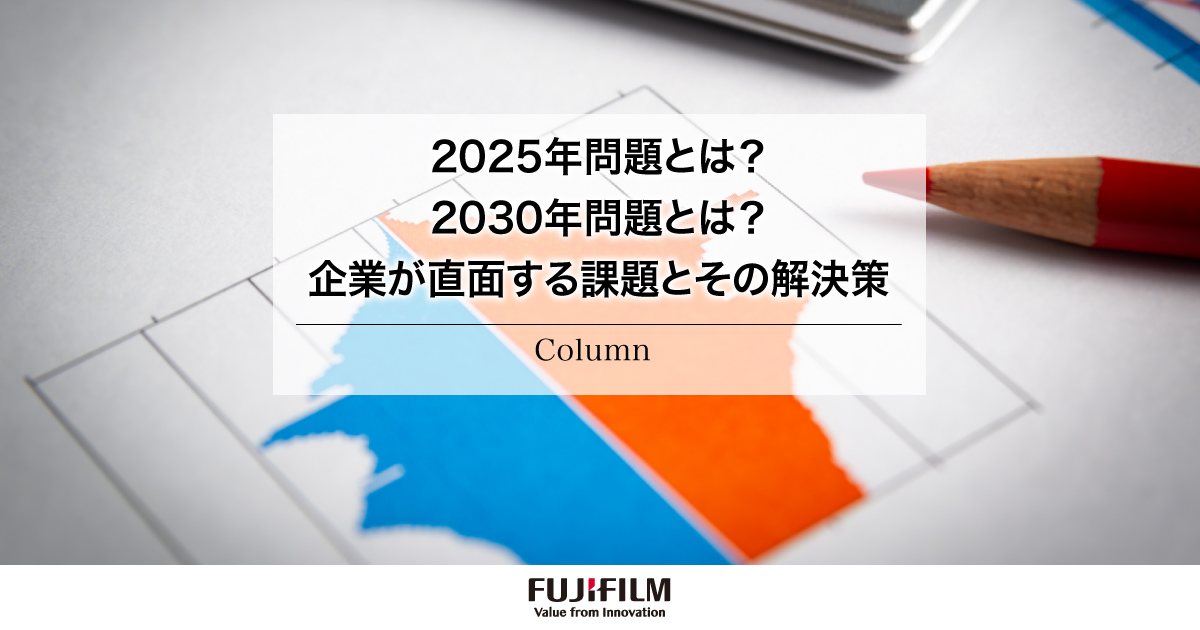 2025年問題とは？2030年問題とは？企業が直面する課題とその解決策